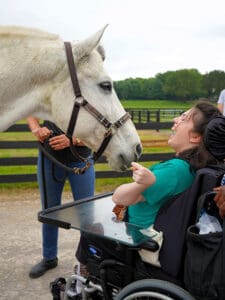 Homepage | 50th Waves Anniversary